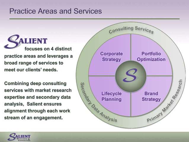 Salient - Background And Case Studies | PPT