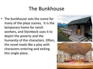 Background and Overview - Of Mice and Men | PPTX