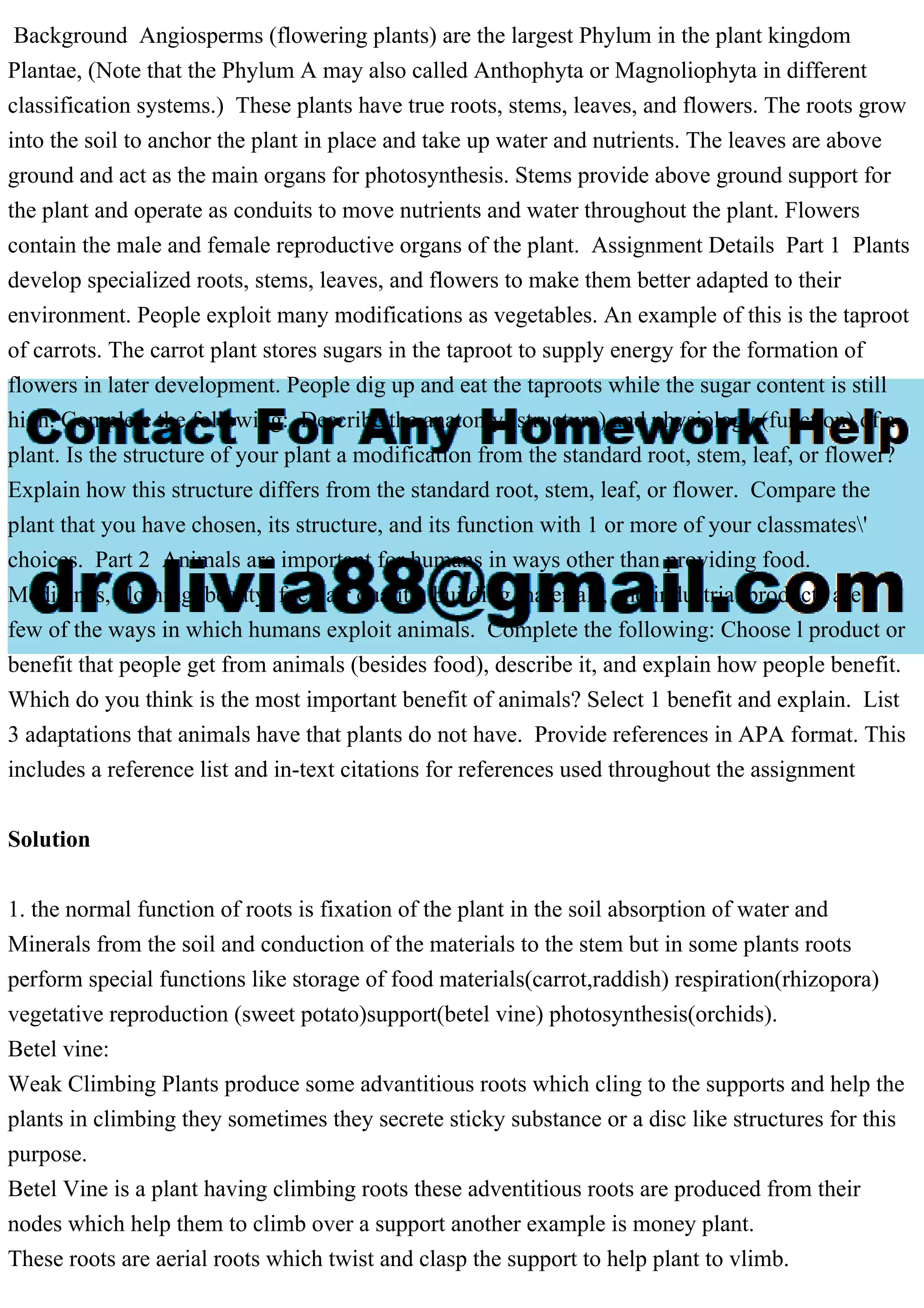 Background Angiosperms (flowering plants) are the largest Phylum in .pdf