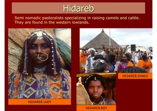 Background Eritrea | PDF