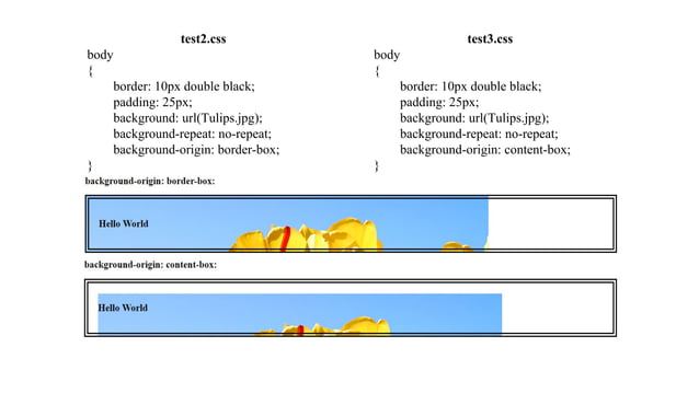 Background property in css | PPT