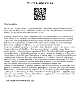 Background Report Templates - 7 Free Word | PDF