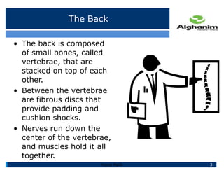 Back Injury hazards precautions safety don't | PPT