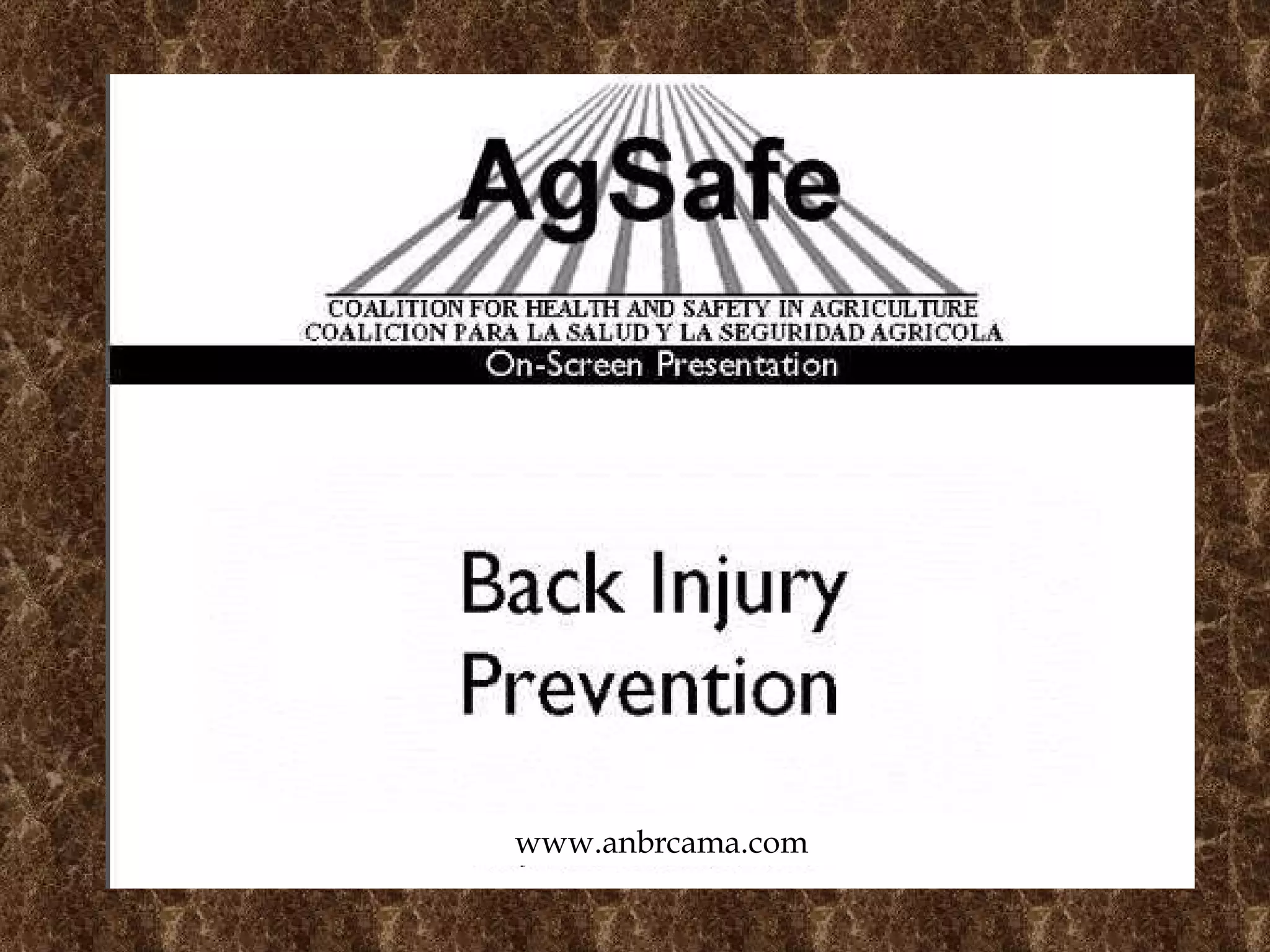 Back injury prevention | PPS