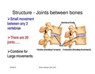 Back Injury Prevention | PDF