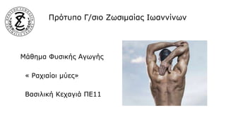 Back muscles (1) | PPT