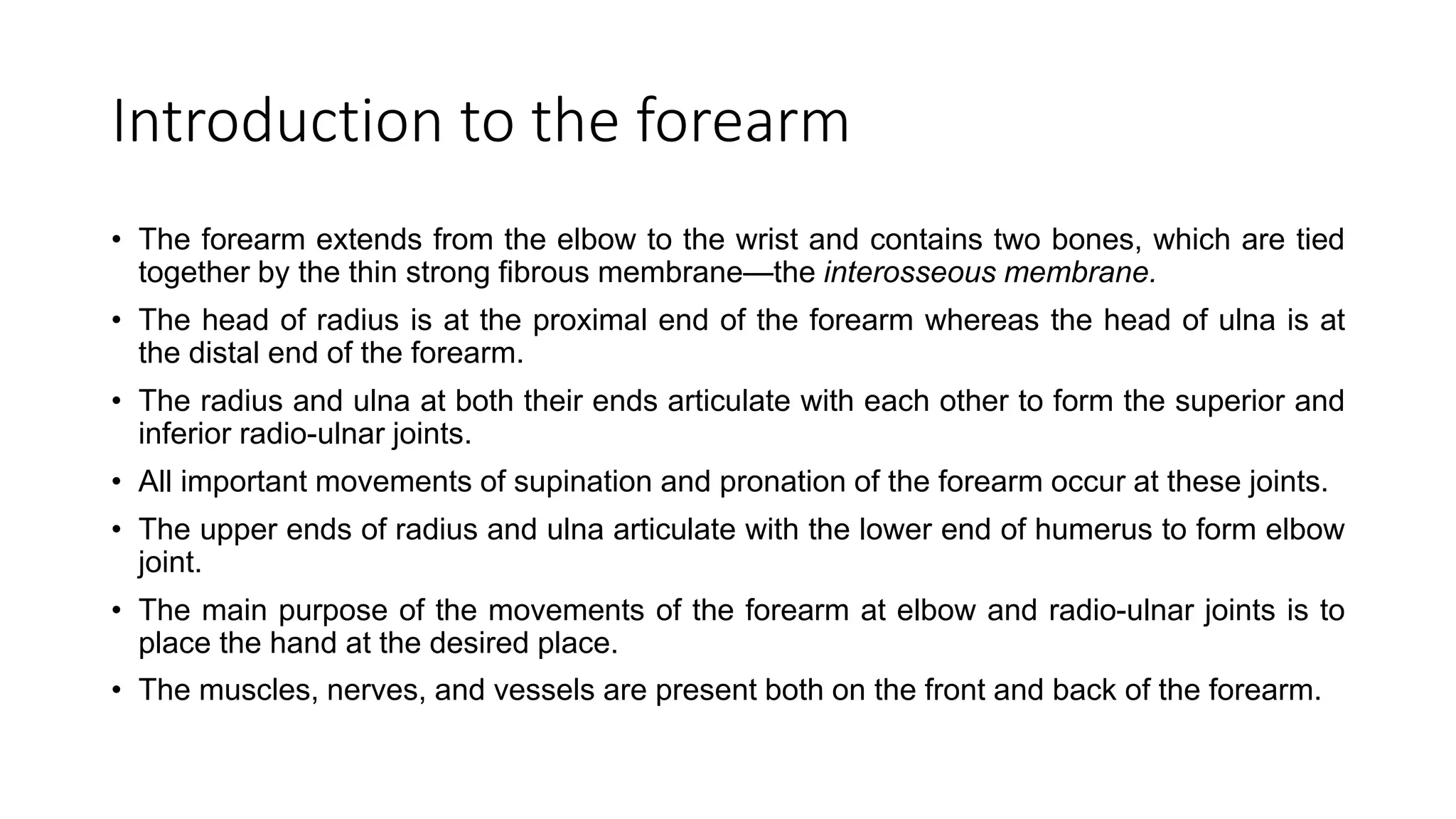 Back of Forearm.pptx