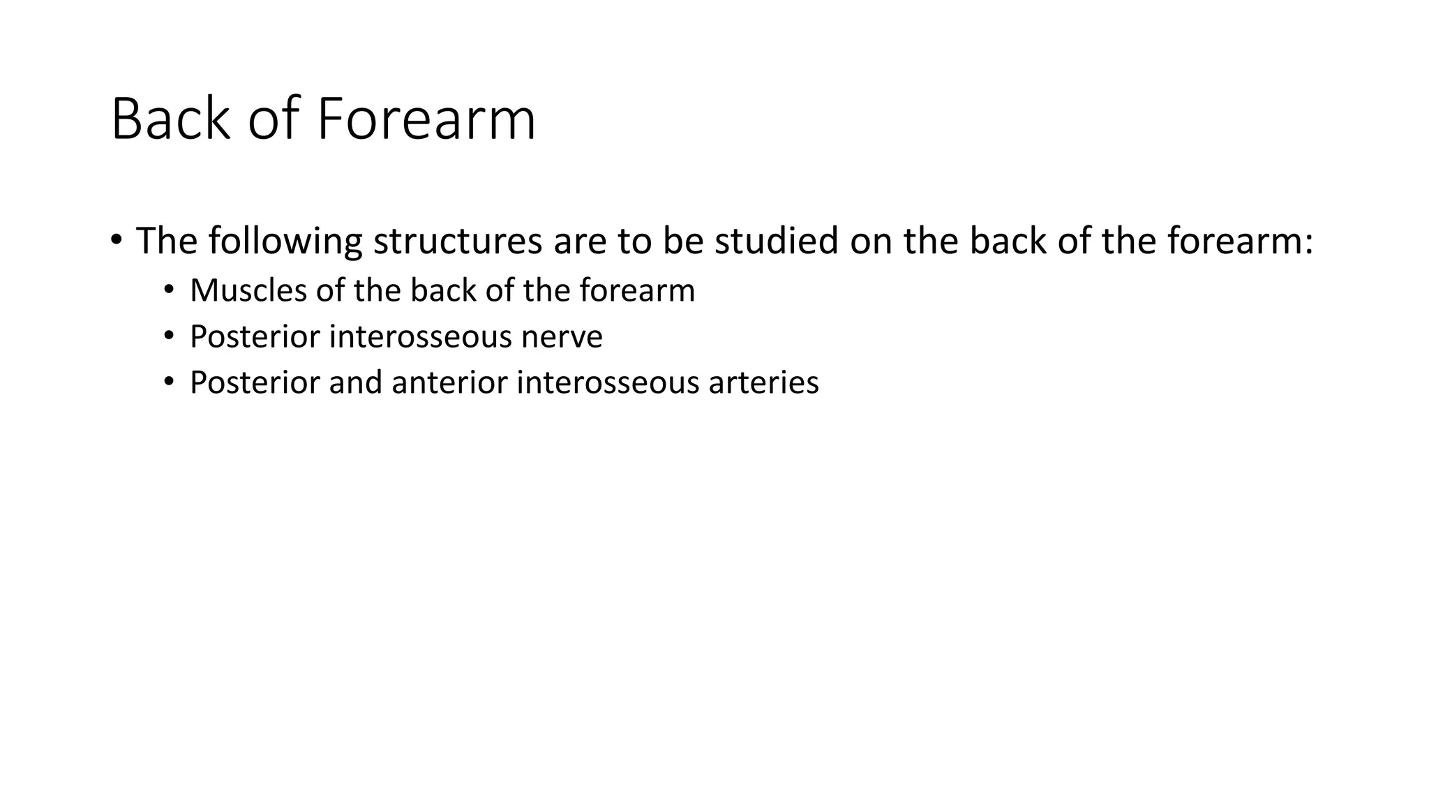 Back of Forearm.pptx