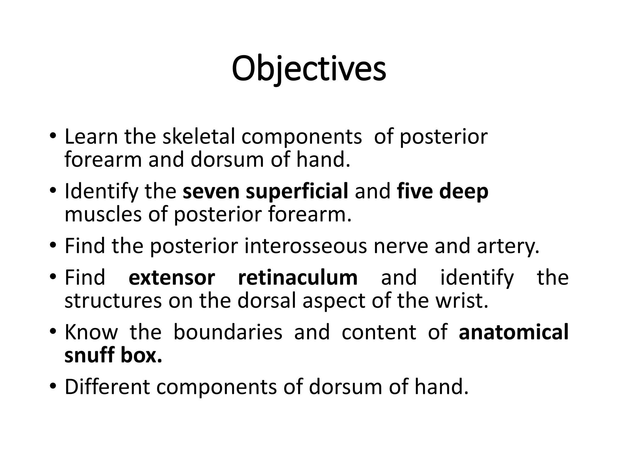 Anatomy of Back of fore arm and dorsum of hand | PDF