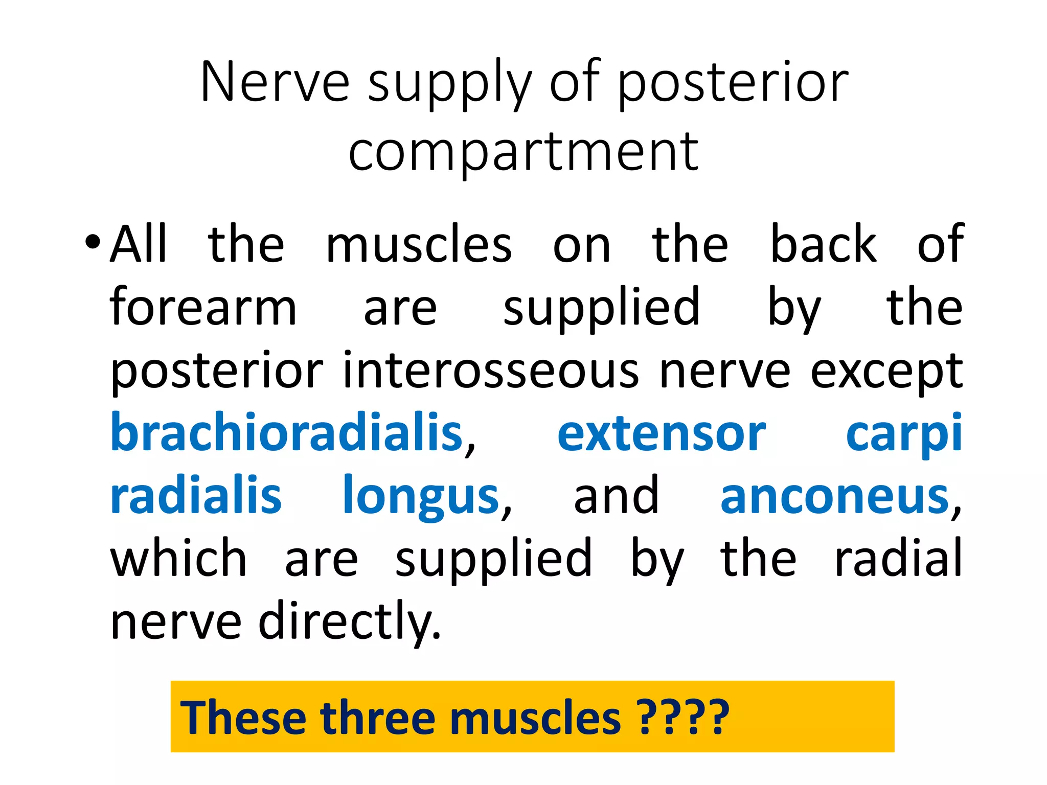 Anatomy of Back of fore arm and dorsum of hand | PDF