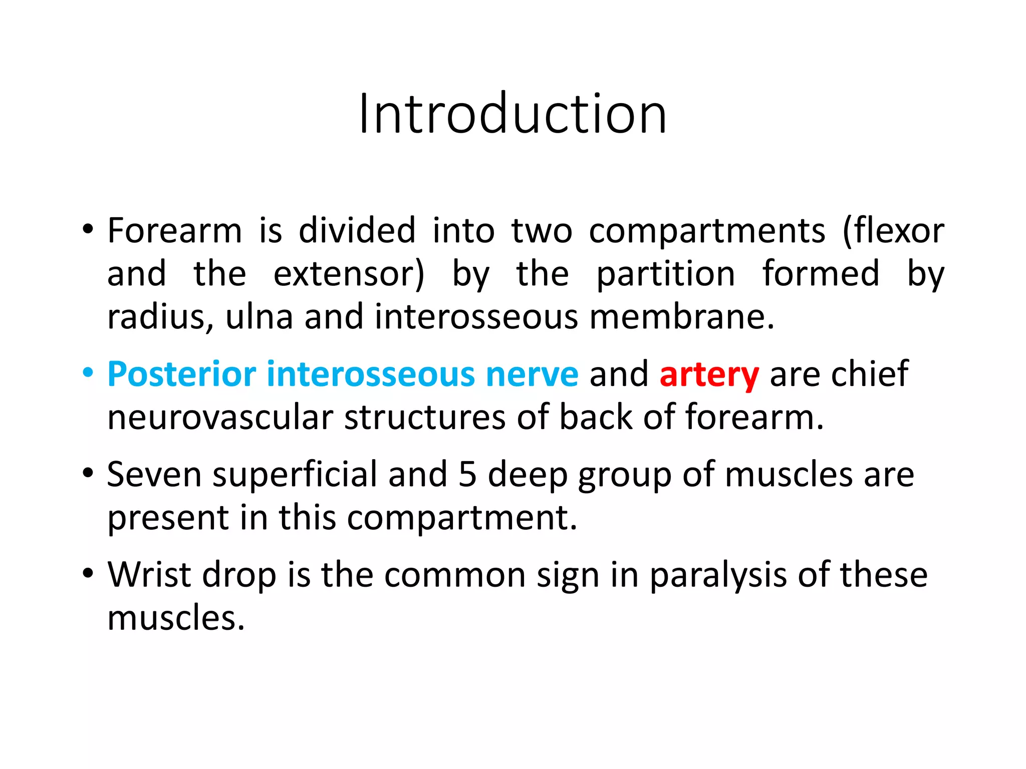 Anatomy of Back of fore arm and dorsum of hand | PDF