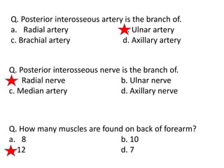 Anatomy of Back of fore arm and dorsum of hand | PDF