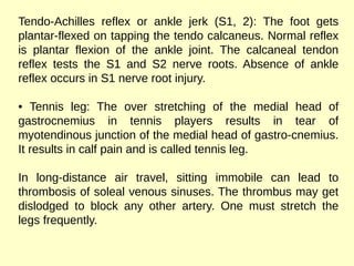 Posterior compartment of leg (back of leg).pptx