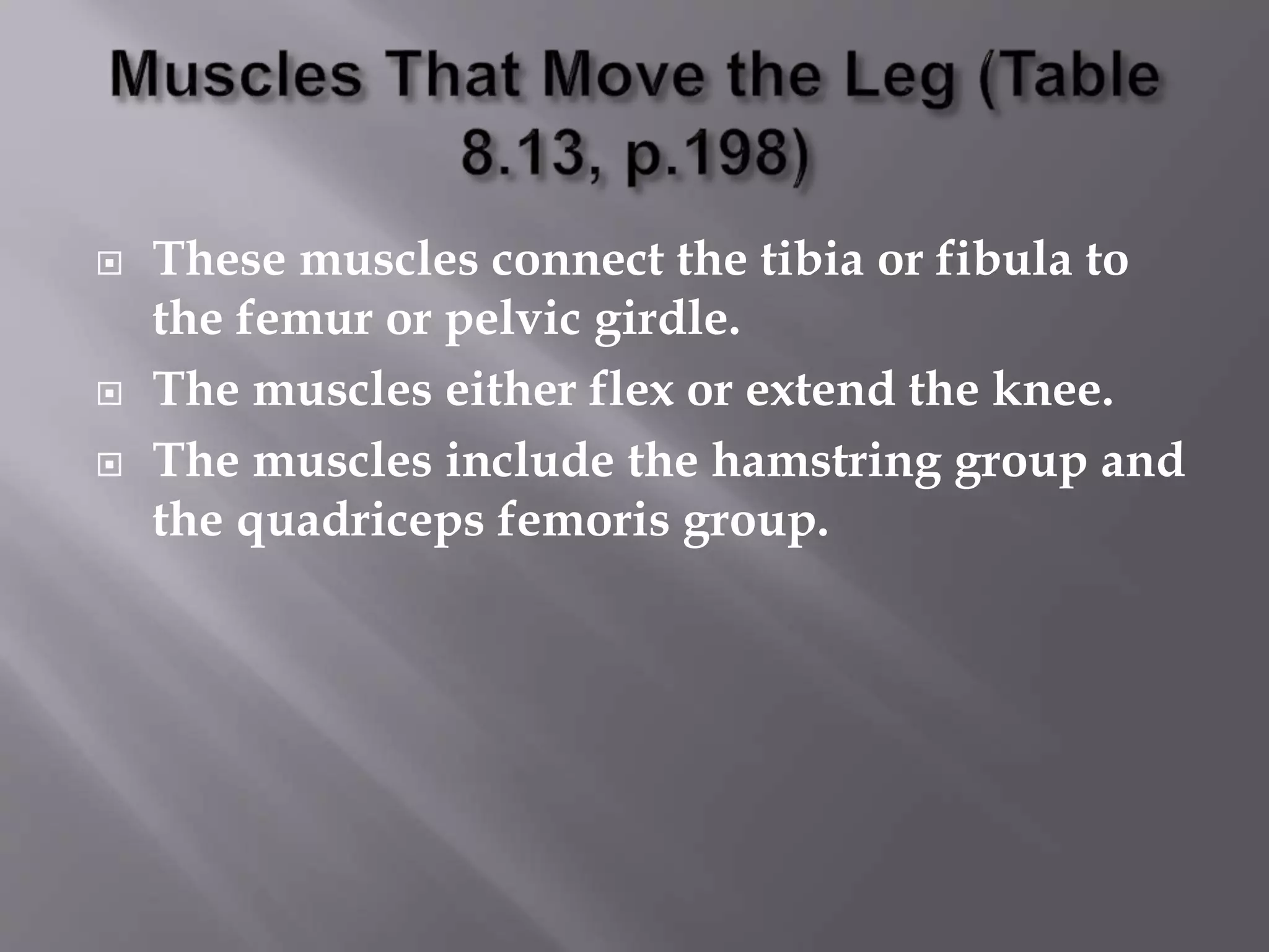 back of leg | PPTX