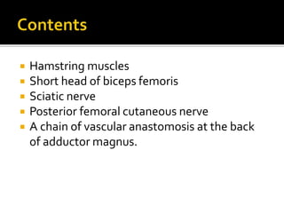 Back of thigh | PPTX