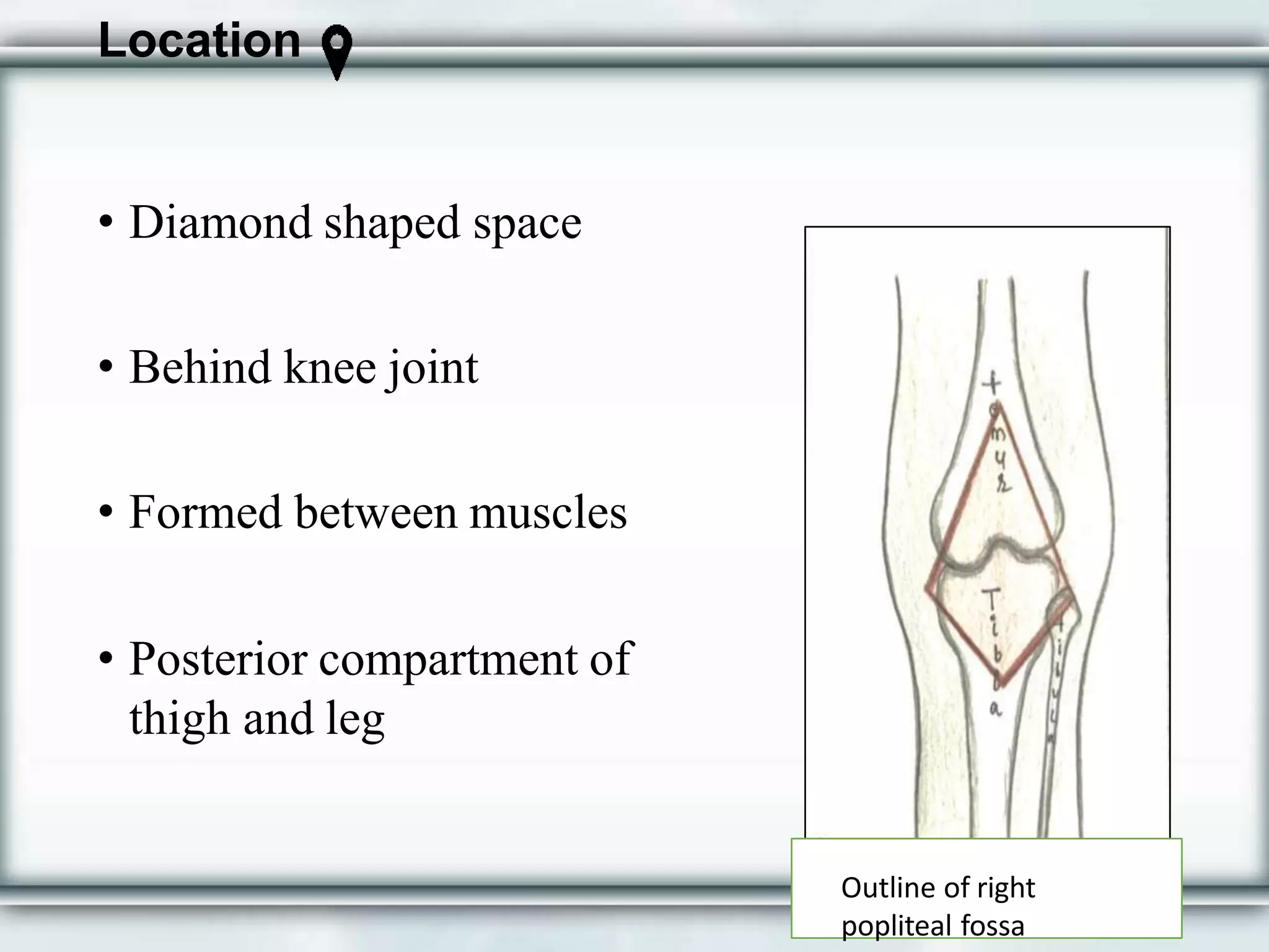 back of thigh and popleteal fossa.pptx