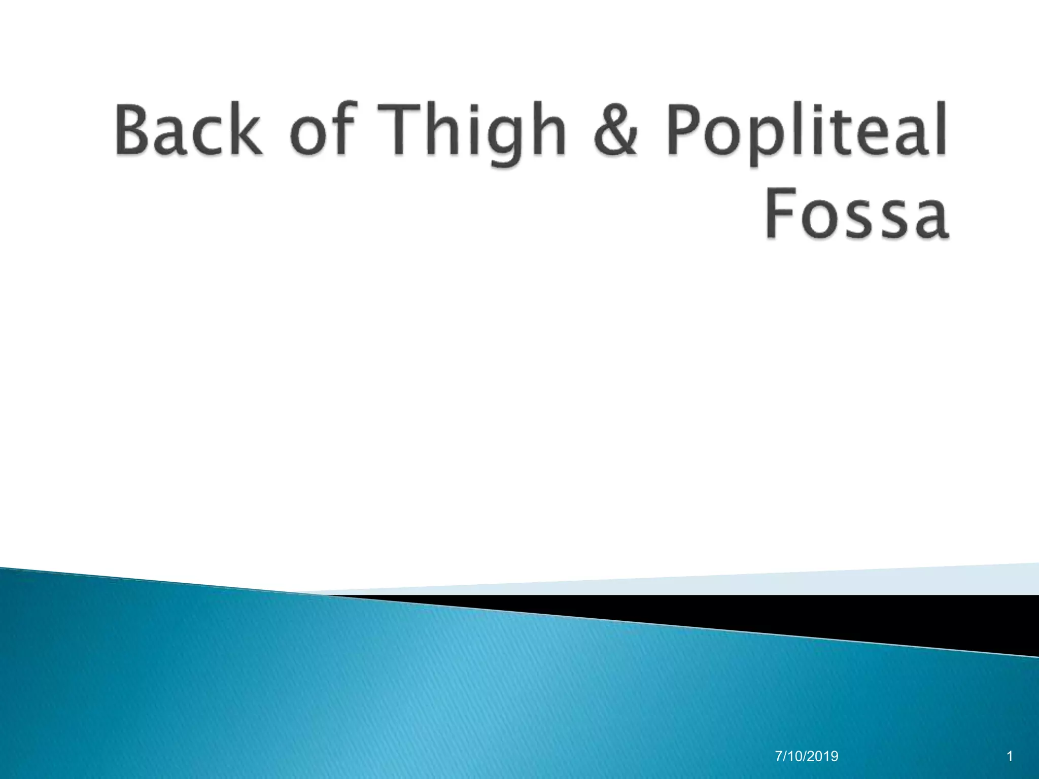 Anatomy of the Back of thigh and popliteal fossa By DR. G Kamau. | PPTX