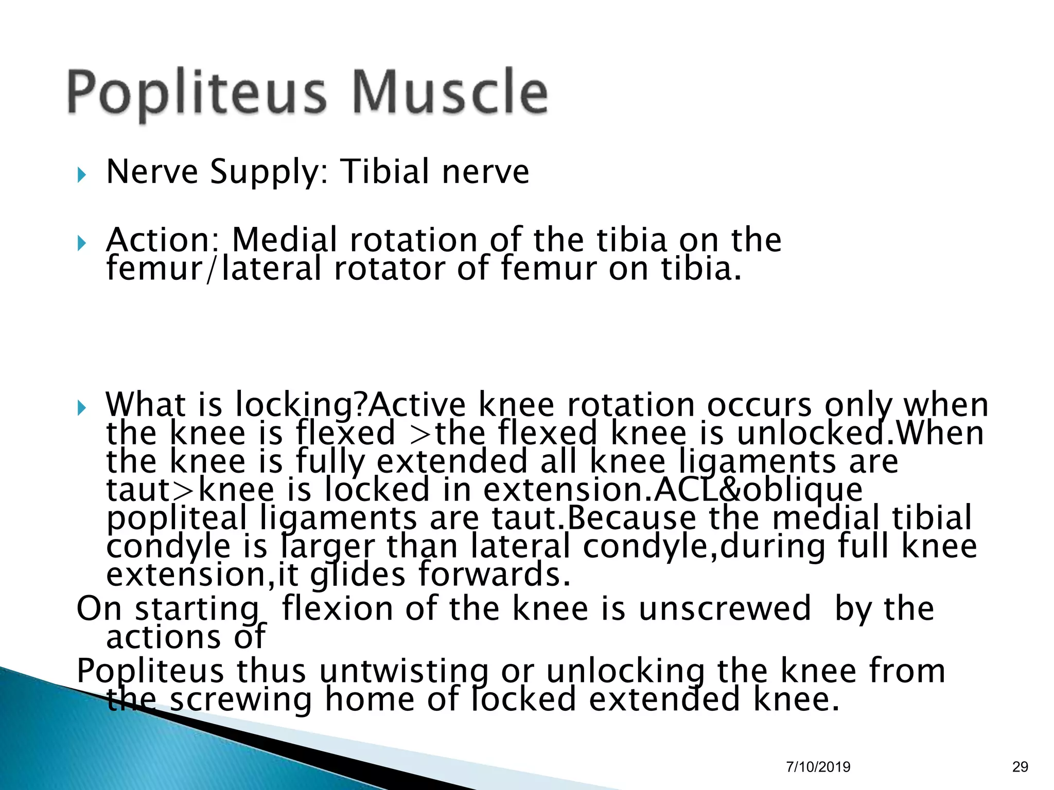Anatomy of the Back of thigh and popliteal fossa By DR. G Kamau. | PPTX