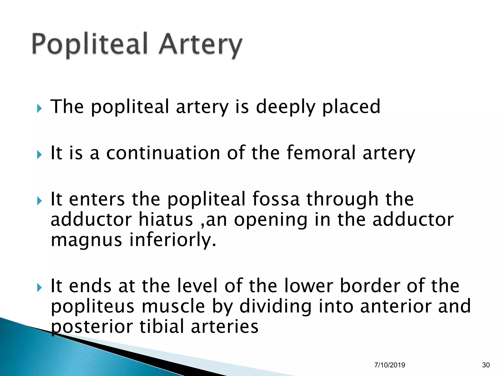 Anatomy of the Back of thigh and popliteal fossa By DR. G Kamau. | PPTX