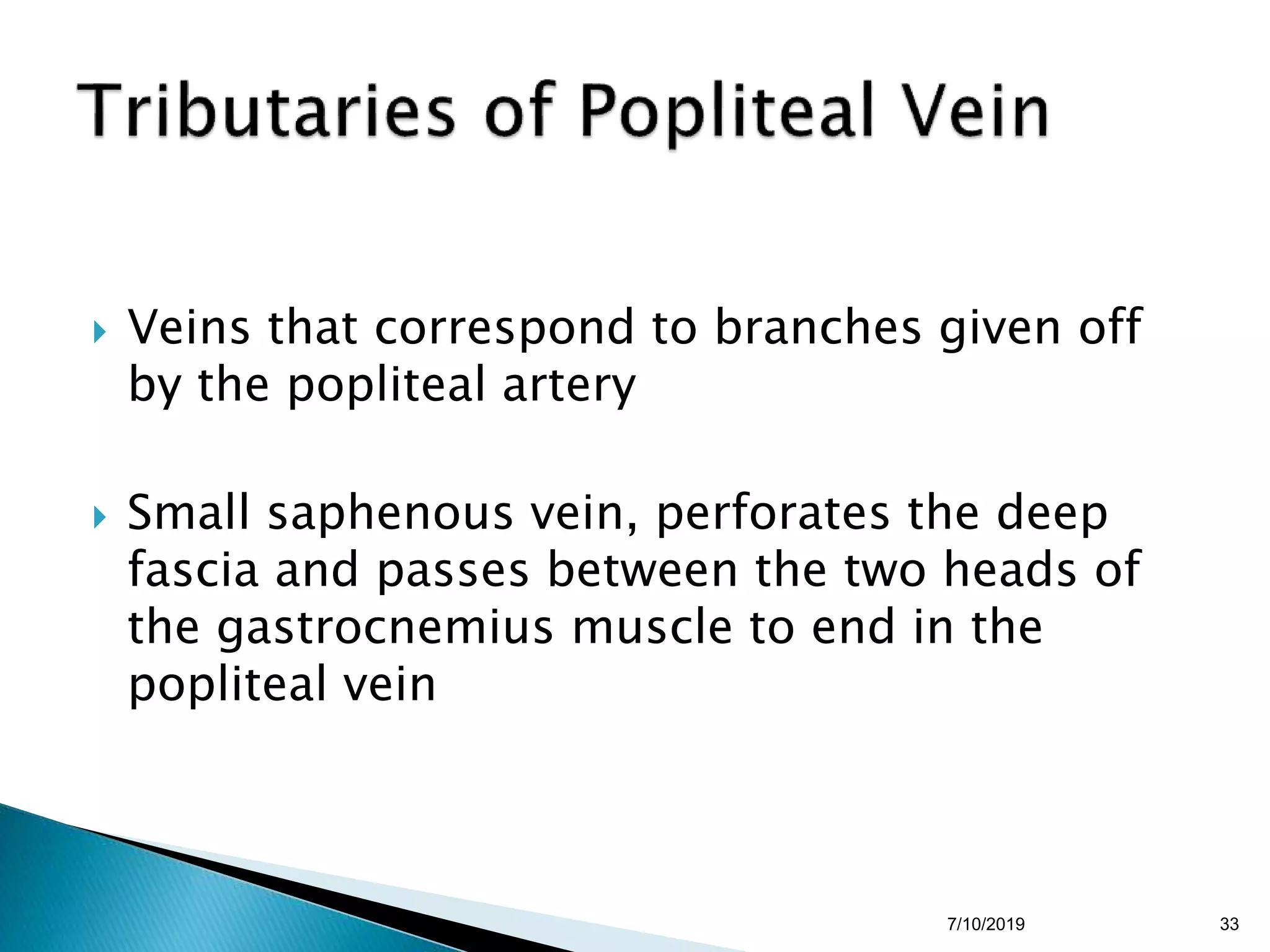 Anatomy of the Back of thigh and popliteal fossa By DR. G Kamau. | PPTX