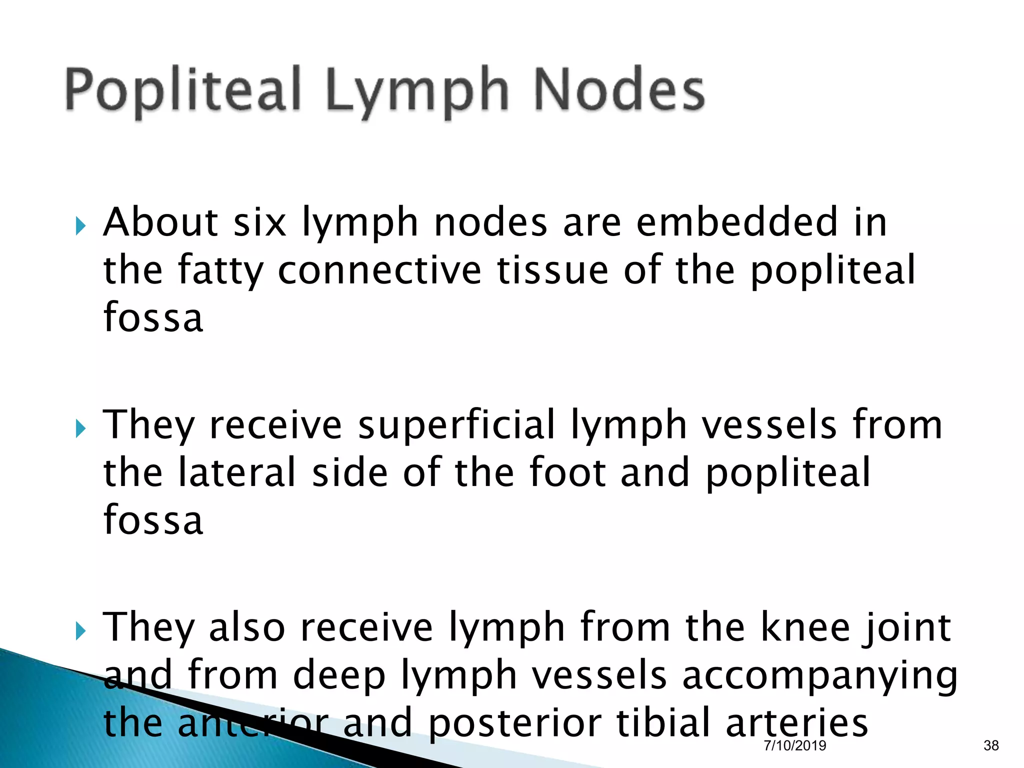 Anatomy of the Back of thigh and popliteal fossa By DR. G Kamau. | PPTX
