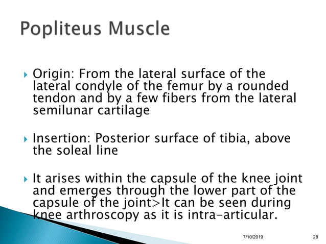 Anatomy of the Back of thigh and popliteal fossa By DR. G Kamau. | PPTX