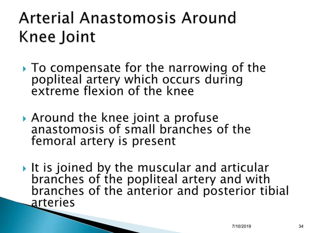 Anatomy of the Back of thigh and popliteal fossa By DR. G Kamau. | PPTX