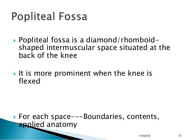 Anatomy of the Back of thigh and popliteal fossa By DR. G Kamau.
