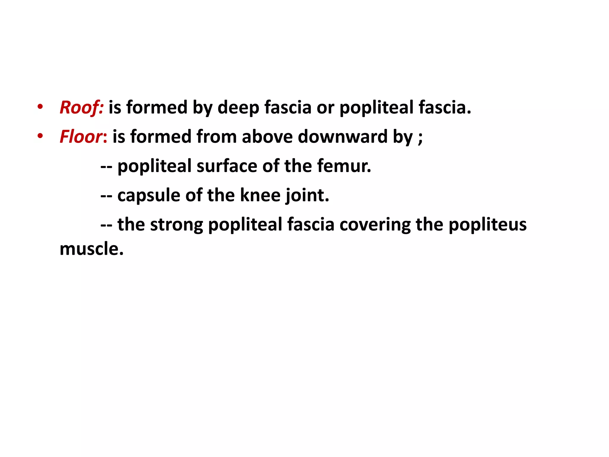 BACK OF THIGH AND POPLITEAL FOSSA.pptx | Death, Injury, or Military ...