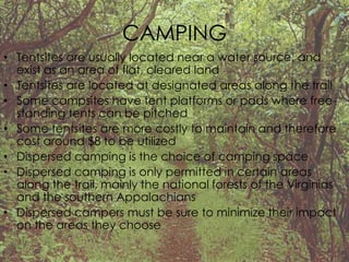Camping Project | PPTX