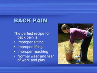 Back Pain | PPT