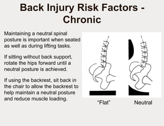 low Back pain | PPT