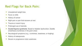 Back Pain and its presentation, DDs, red Flags, investigations ...