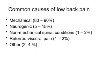 back_pain presentation for doctor of physiotherapy students | PPTX