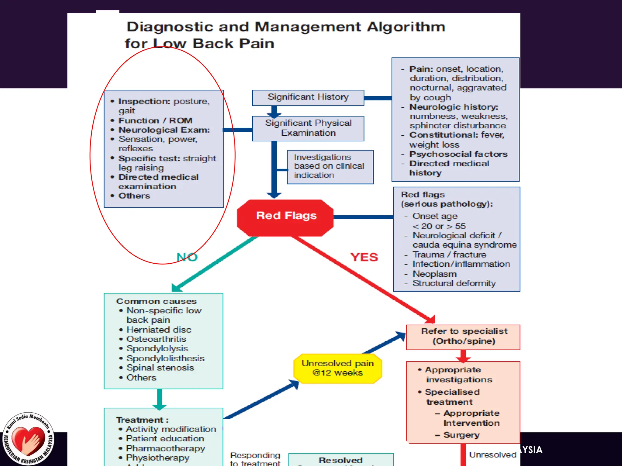 Back_pain_management introduction and mx | PPT