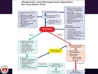 Back_pain_management introduction and mx | PPT