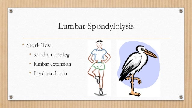 Back pain specialist presentation 180516