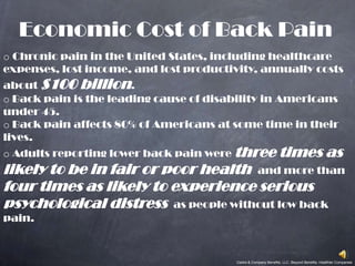 Back Pain | PPTX | Physical Therapy | Wellness