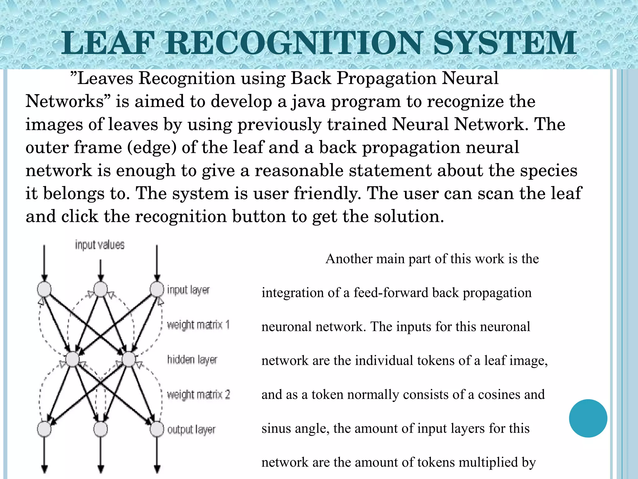 Back propagation | PPT