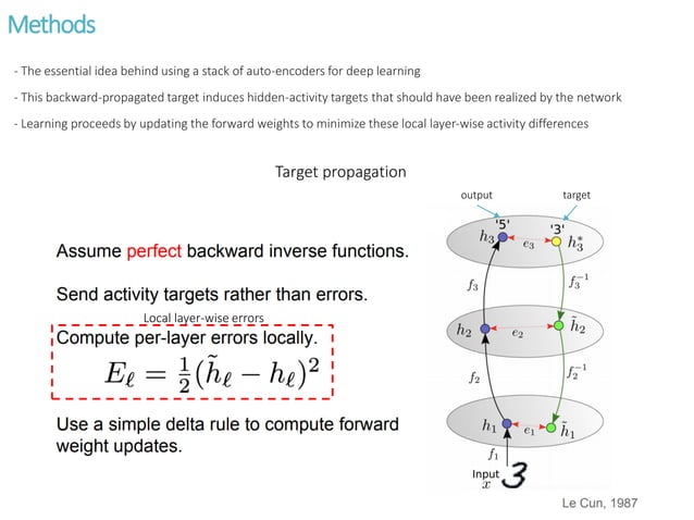 Backpropagation and the brain review | PPT