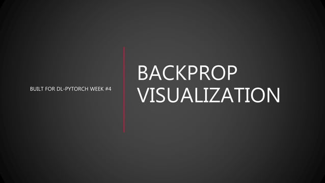 Backprop Visualization | PPT