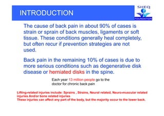 Back safety | PDF