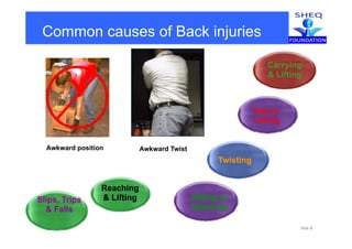 Back safety | PDF