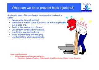 Back safety | PDF