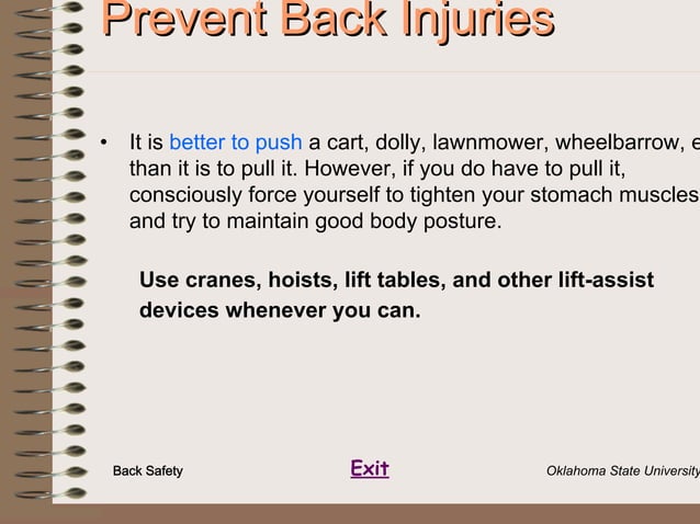 Back safety PDF | PPT | Free Download
