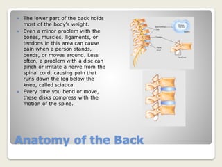 Back safety l Ergonomic Design | PDF