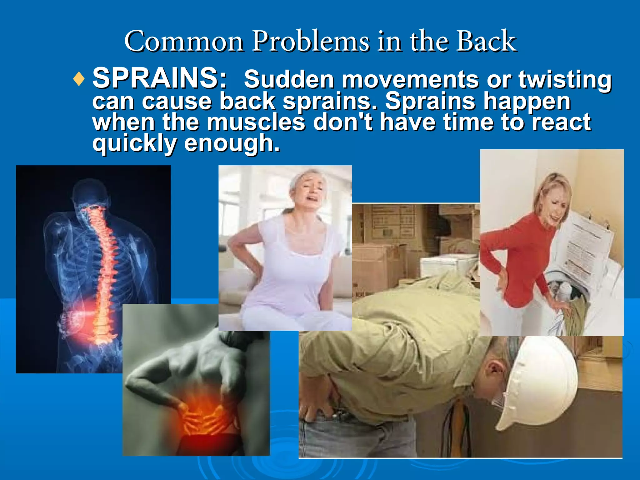 Back Safety and Lifting | PPT