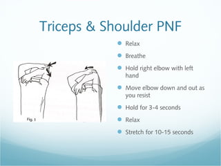 Pnf Shoulder Stretch
