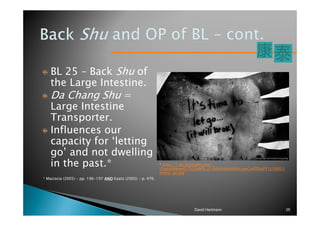 Urinary Bladder Back Shu points discussion | PDF