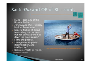 Urinary Bladder Back Shu points discussion | PDF